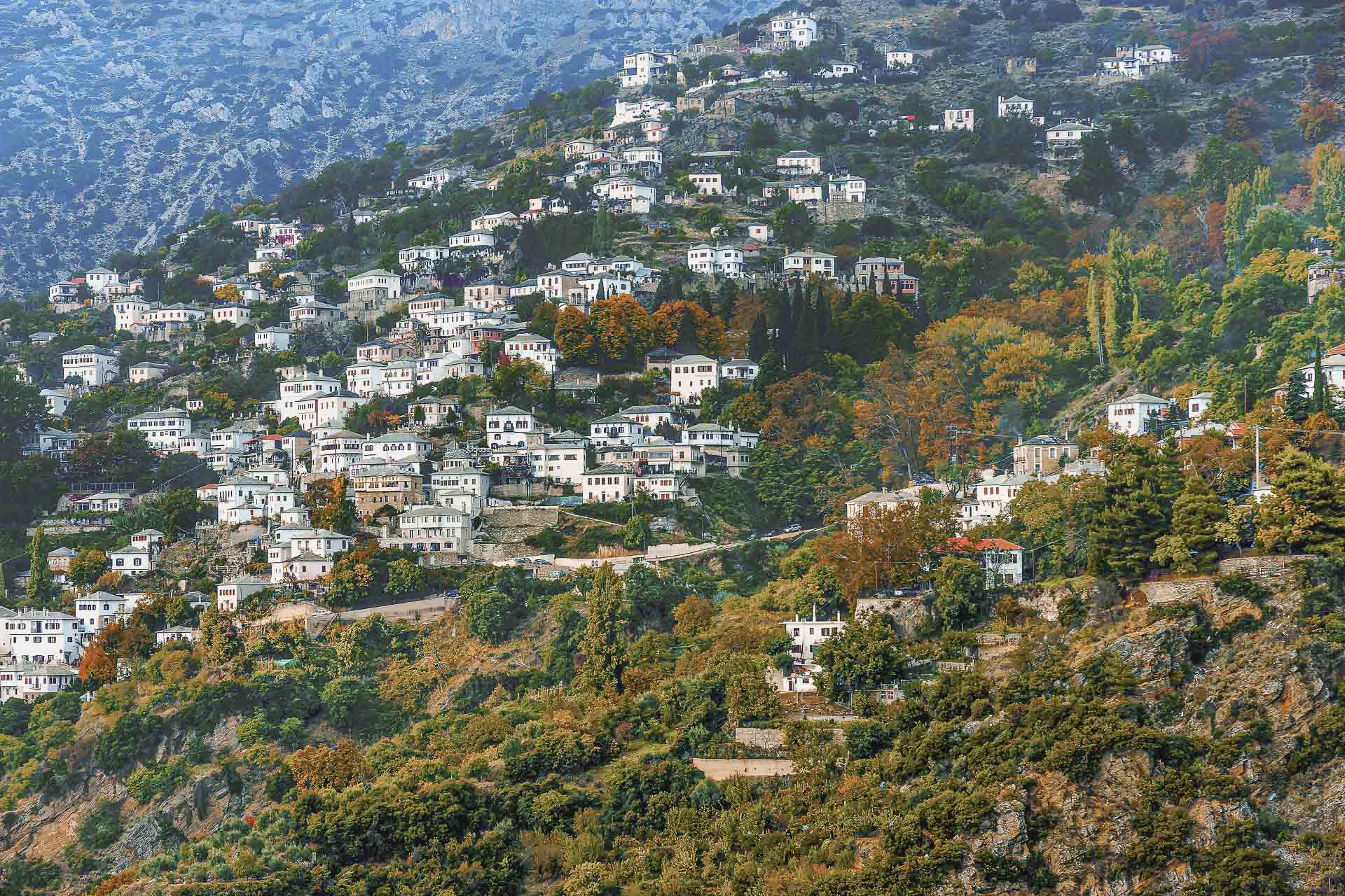 Οδηγός Πορταριάς: Ένα Πηλιορείτικο χωριό που σφύζει από ζωή - ΔΙΑΚΟΠΕΣ