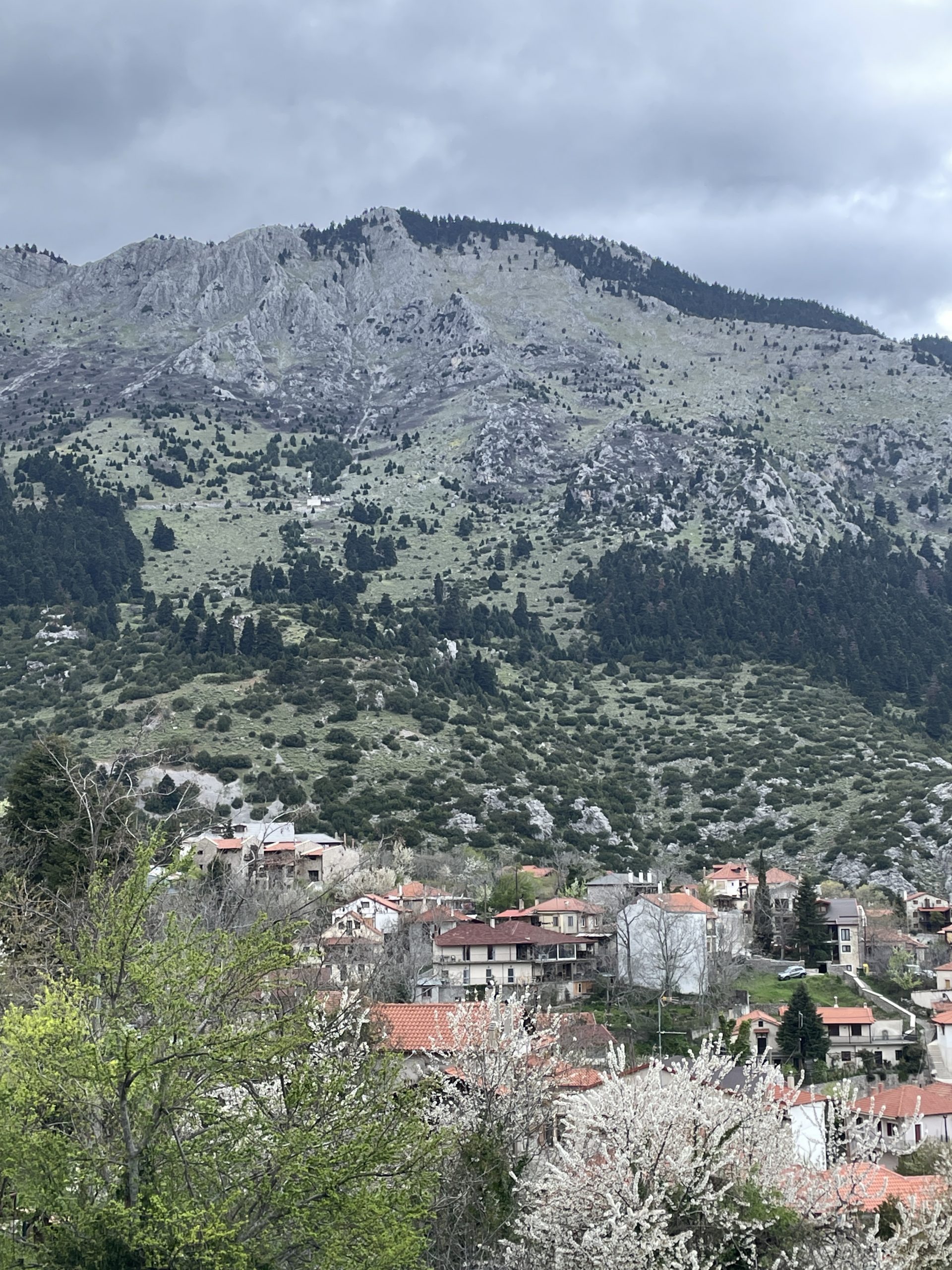 3+1 στέκια για καλό φαγητό στην περιοχή των Δελφών